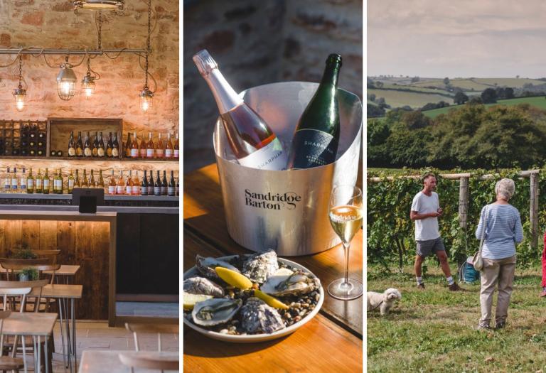 Devon's best vineyards and wineries
